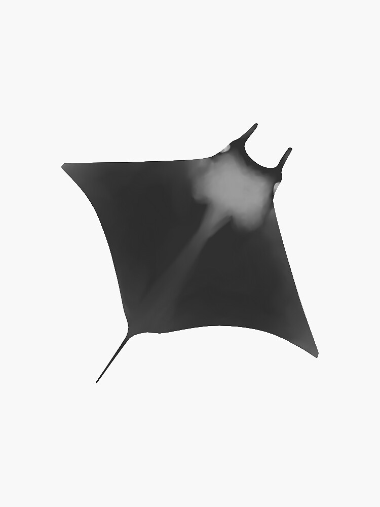"Mobula Ray" Sticker for Sale by CielPetit | Redbubble
