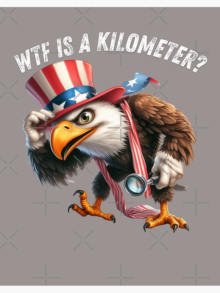 Bald Eagle Meme Funny