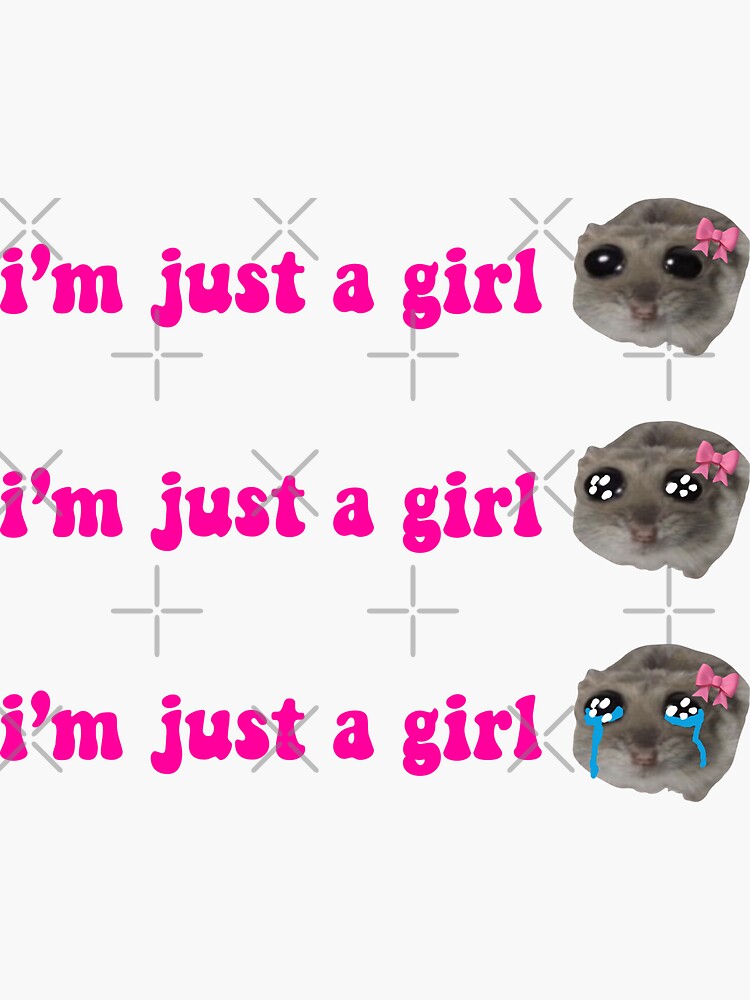 "Sad Hamster Meme " Sticker for Sale by funkyst | Redbubble