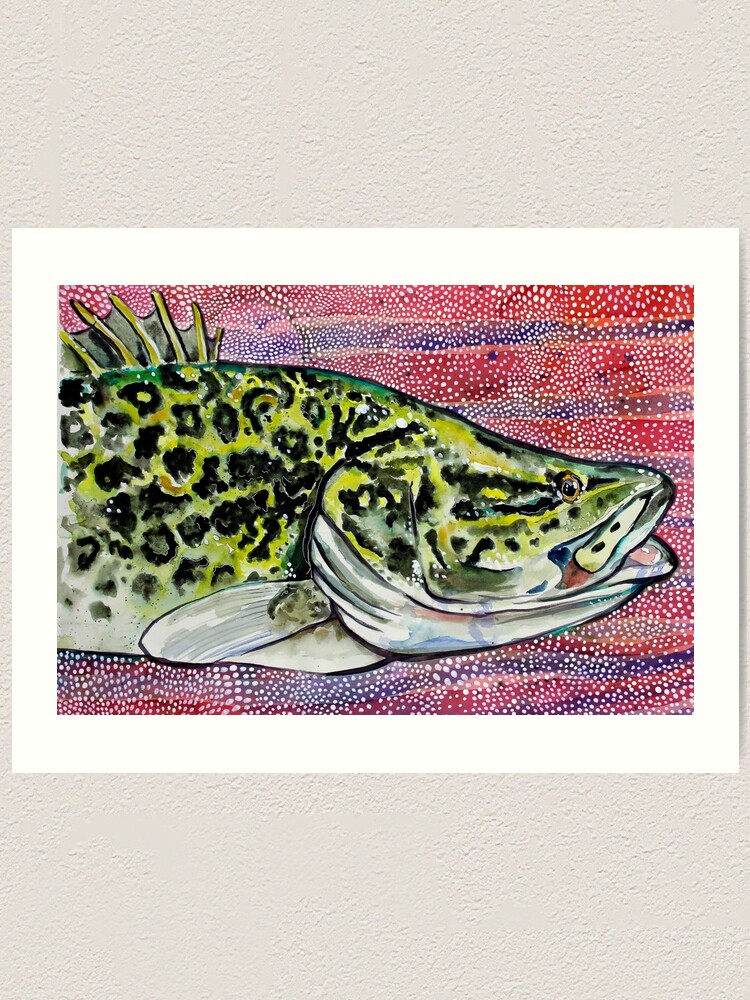 "Murray Cod" Art Print by poswin | Redbubble
