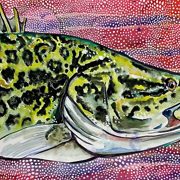 "Murray Cod" Sticker for Sale by Paul Oswin | Redbubble