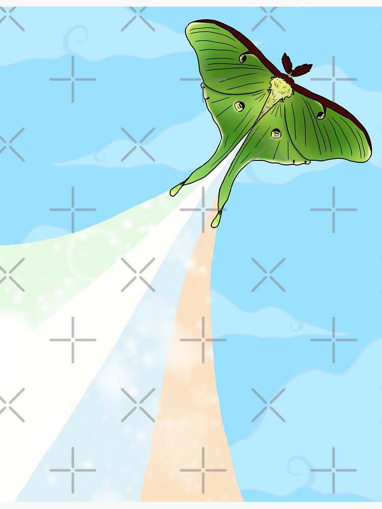 "Pride Luna Moth (Unlabeled Pride Flag)" Sticker for Sale by peachy ...