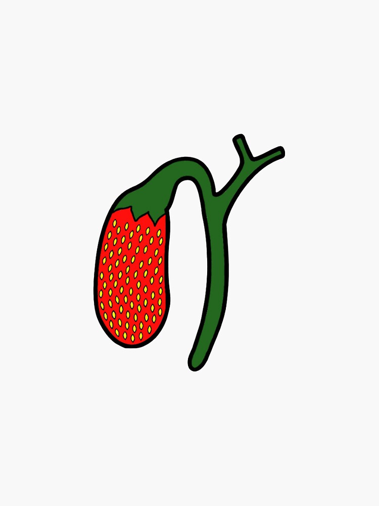 "Strawberry Gallbladder Pathologists' Assistant Medicine Anatomy ...