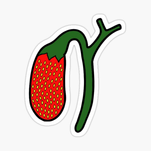 "Strawberry Gallbladder Pathologists' Assistant Medicine Anatomy ...
