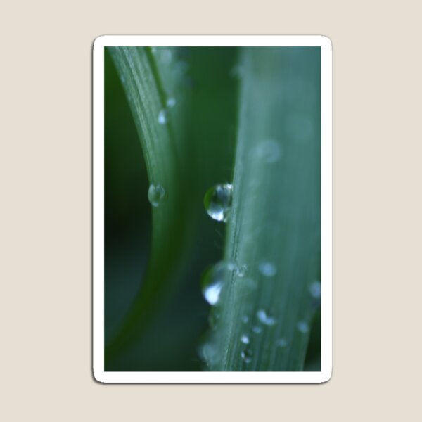 Water Drops Magnets | Redbubble
