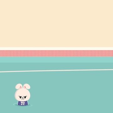 "Stray Kids SKZOO Pool" Poster for Sale by imsofandom | Redbubble