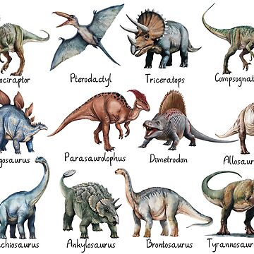 "Realistic Dinosaur chart with labeled type names " Poster for Sale by ...