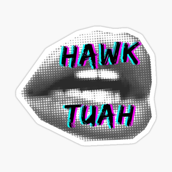 "Hawk Tuah" Sticker for Sale by heptenart | Redbubble