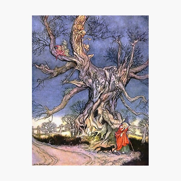 "Major Andres Tree - The Legend of Sleepy Hollow Arthur Rackham ...