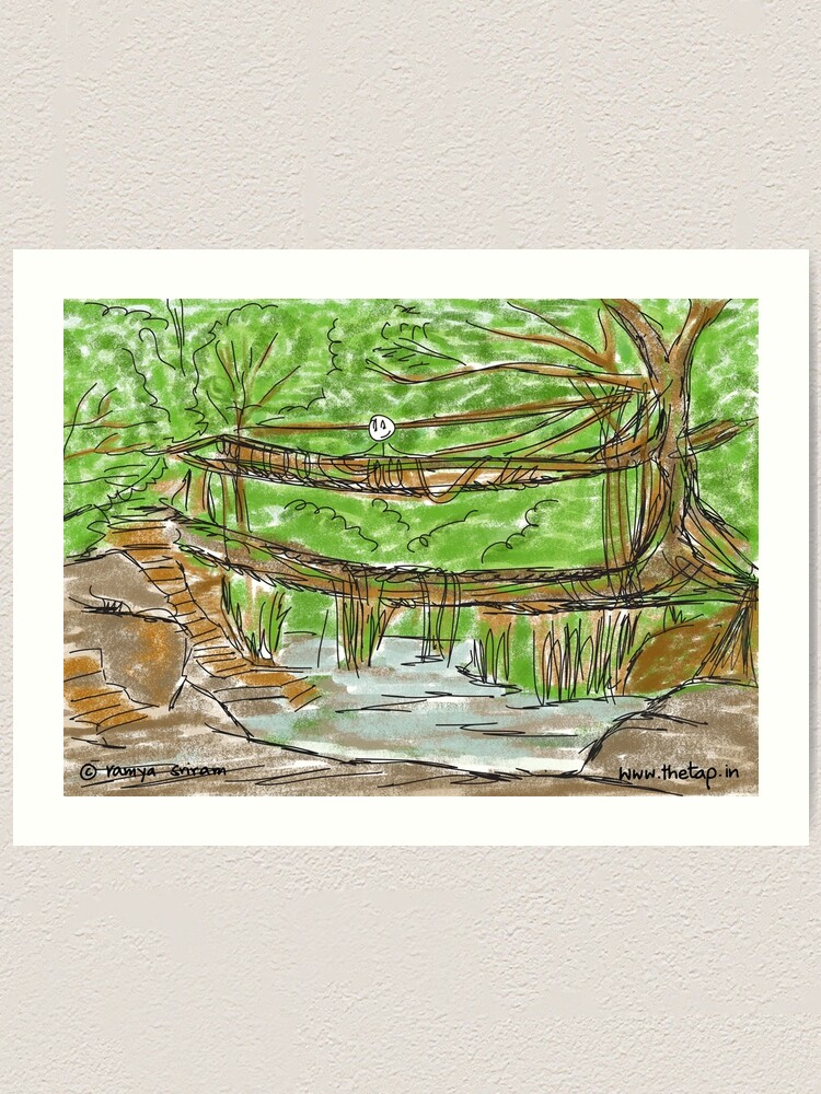 "Meghalaya's Living Root Bridges" Art Print for Sale by the-tap | Redbubble