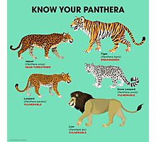 "Know Your Panthera" by PepomintNarwhal | Redbubble