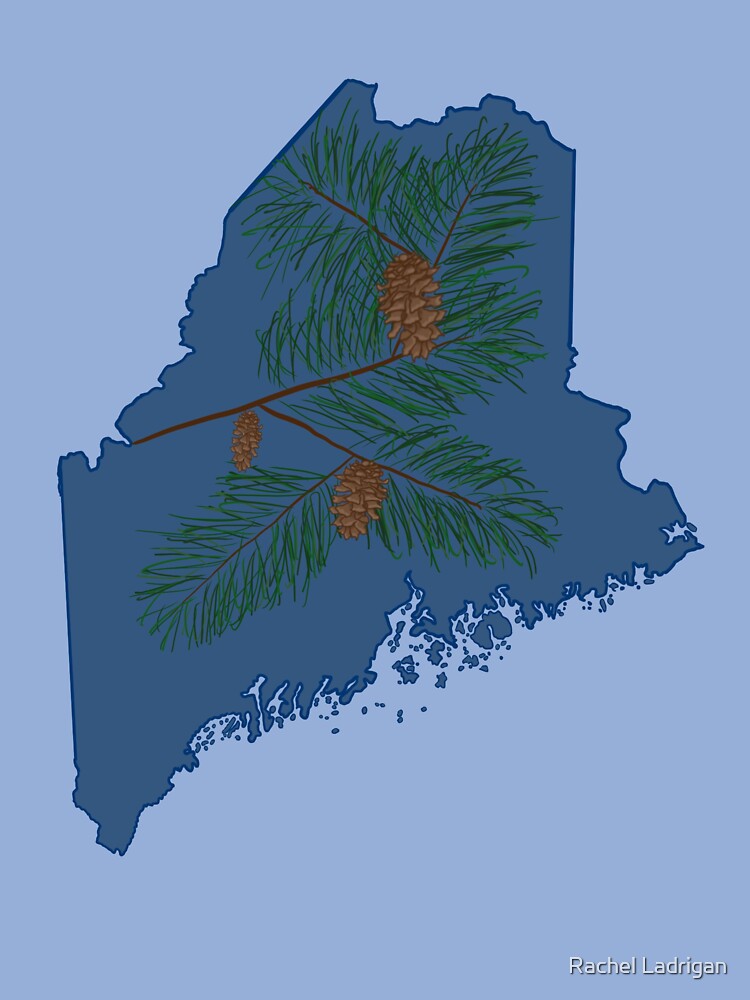 "Maine State Flower: White Pine Cone" Sticker by rladrigan | Redbubble