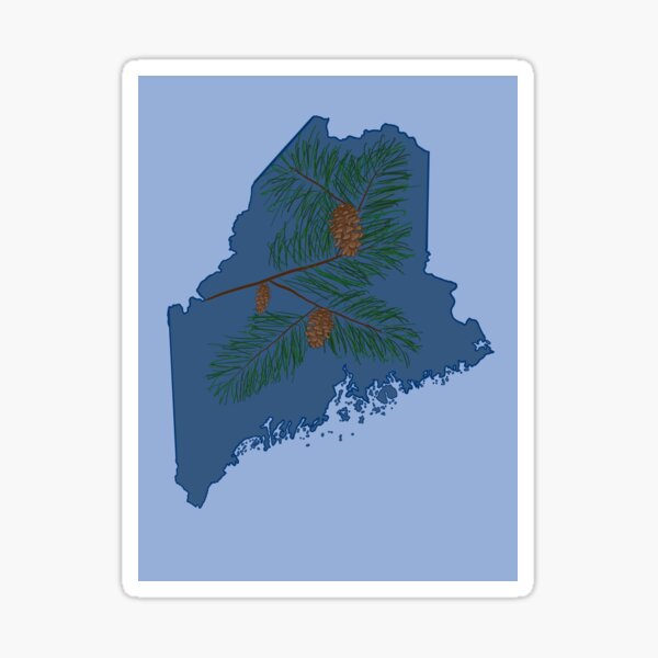 "Maine State Flower: White Pine Cone" Sticker by rladrigan | Redbubble