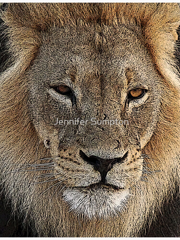 "Kalahari King" Sticker by JenniferEllen | Redbubble