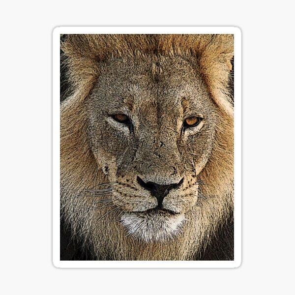 "Kalahari King" Sticker by JenniferEllen | Redbubble