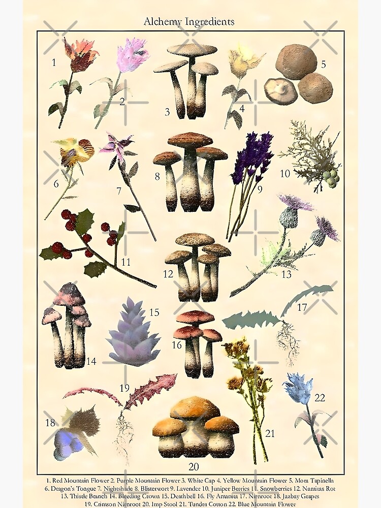 Nirnroot Merch & Gifts for Sale | Redbubble