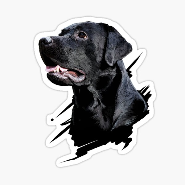 "Labrador" Sticker for Sale by sibosssr | Redbubble