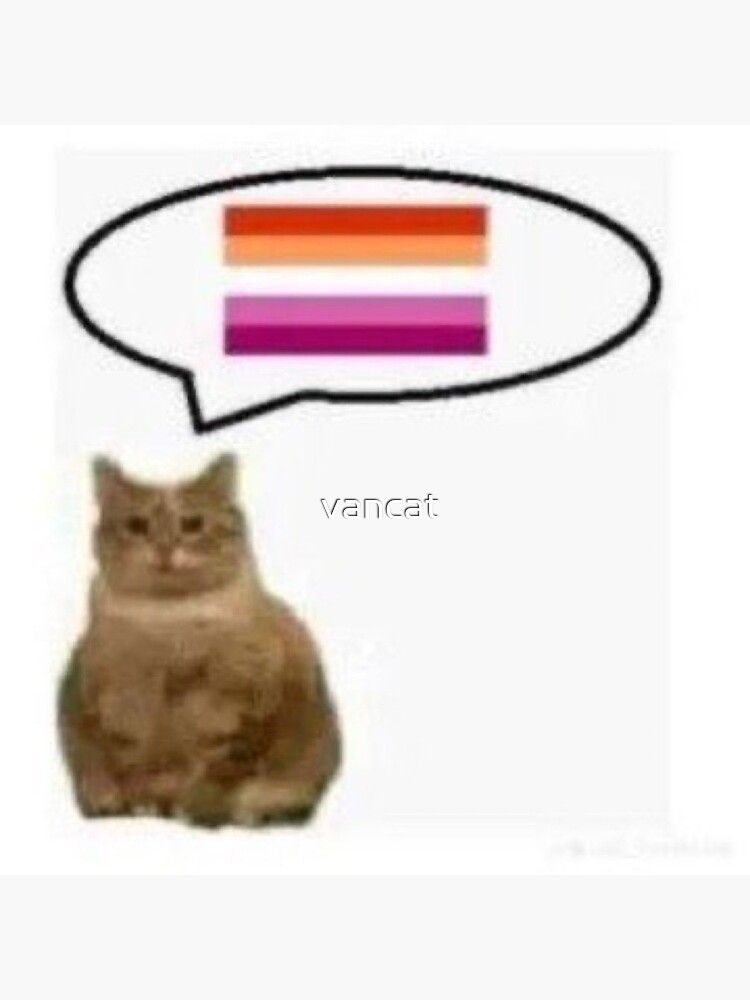"cat says lesbian rights meme" Sticker for Sale by vancat | Redbubble