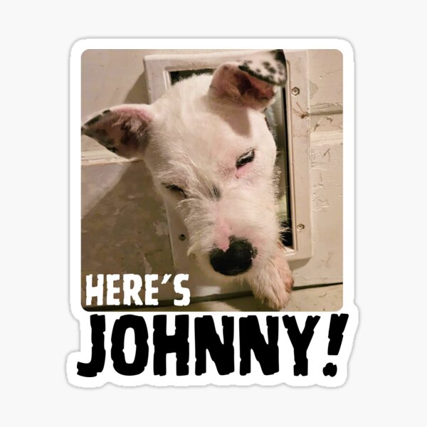 "Here's Johnny" Sticker for Sale by annmariek2018 | Redbubble