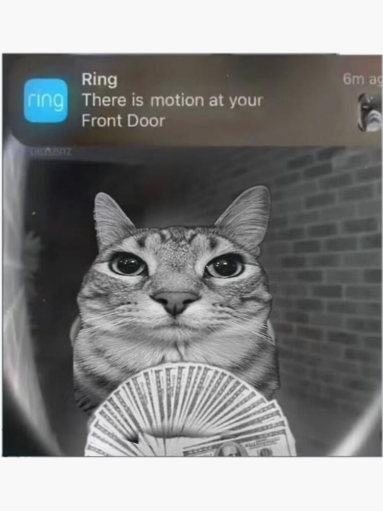 "There is motion at your Front Door Cat" Sticker for Sale by SeanyShirts | Redbubble