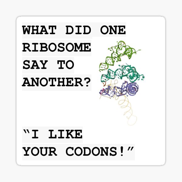"Protein jokes - what's funny about proteins" Sticker for Sale by gre47 ...