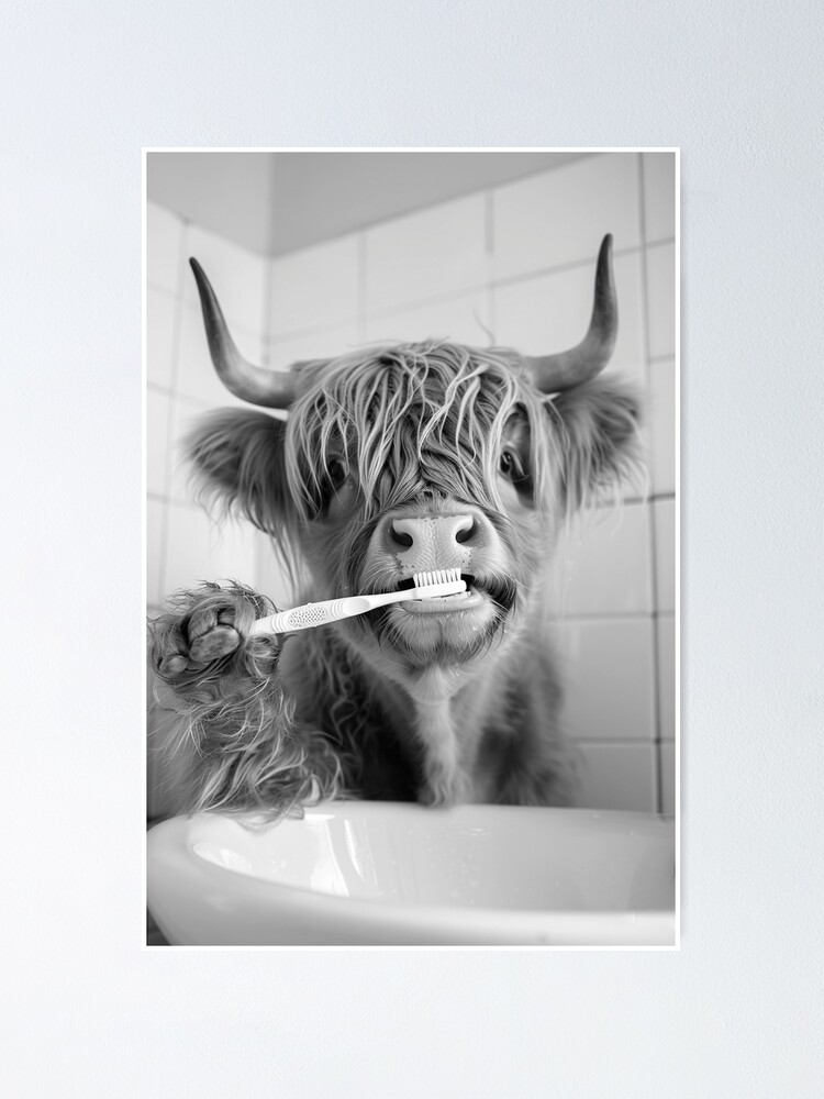 "Highland Cow Brushing Teeth in the Bathroom" Poster for Sale by ...