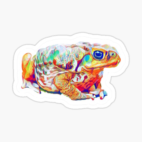 "Rainbow frog" Sticker for Sale by Gloomyghoul | Redbubble
