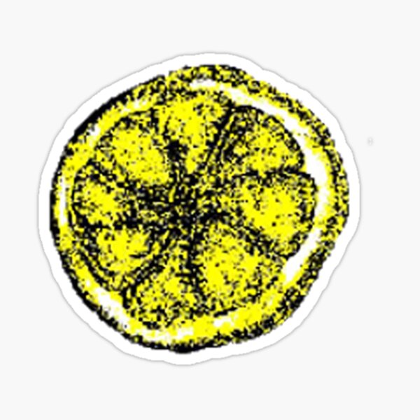 "The Stone Roses - Lemon" Sticker for Sale by Bad-Zombie | Redbubble
