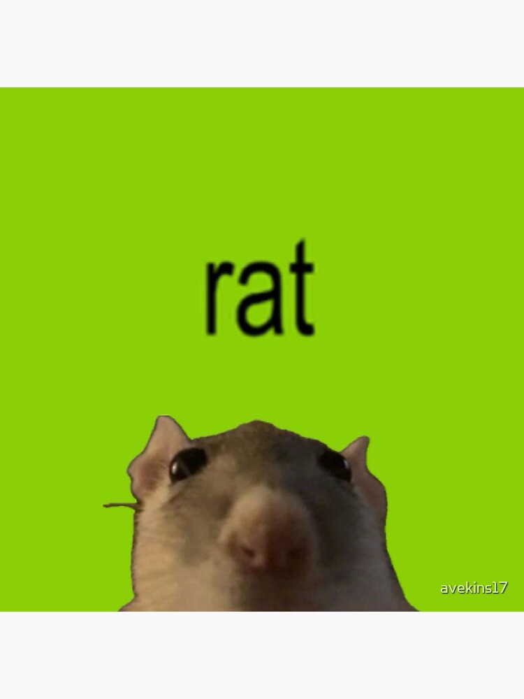 "Brat Rat" Sticker for Sale by avekins17 | Redbubble