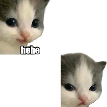 Hehe Meme