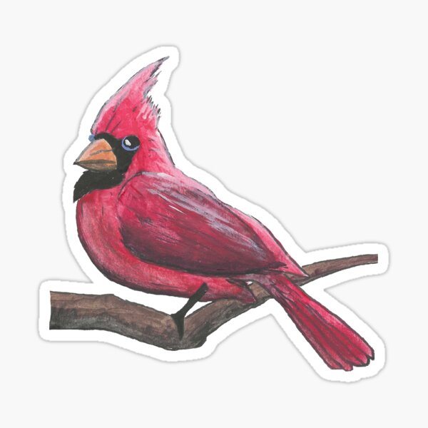 "Cardinal" Sticker for Sale by CandycaneFarmer | Redbubble