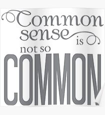 Common Sense: Posters | Redbubble