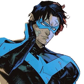 "handsome nightwing" Sticker for Sale by ReynMarilyne | Redbubble