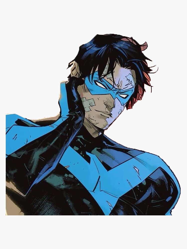 "handsome nightwing" Sticker for Sale by ReynMarilyne | Redbubble