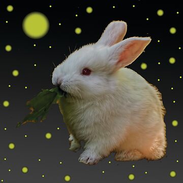 "rabbit and space" Sticker for Sale by Dogandesighn | Redbubble