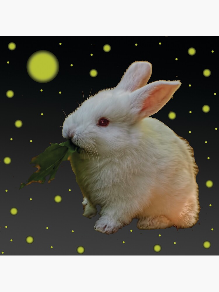 "rabbit and space" Sticker for Sale by Dogandesighn | Redbubble