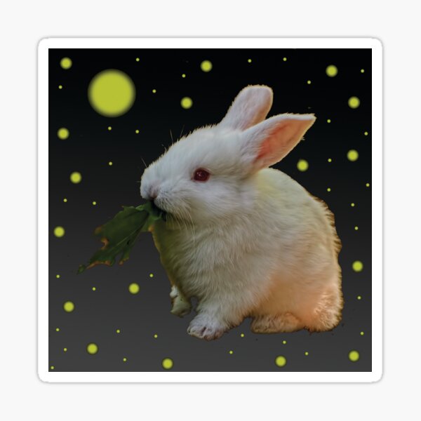 "rabbit and space" Sticker for Sale by Dogandesighn | Redbubble