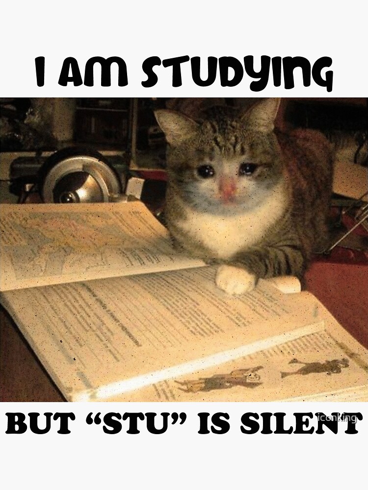 "Funny studying meme For School : I am Studying But "Stu" is Silent ...