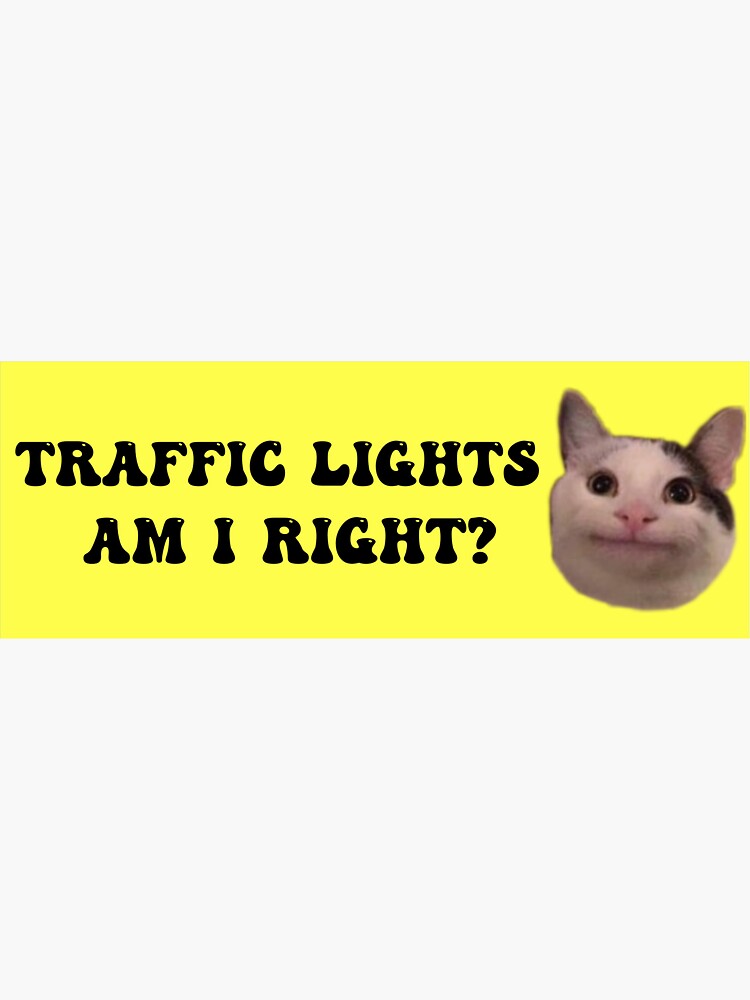 "Traffic Lights Am I Right? Polite Cat Meme Funny Bumper" Sticker for ...