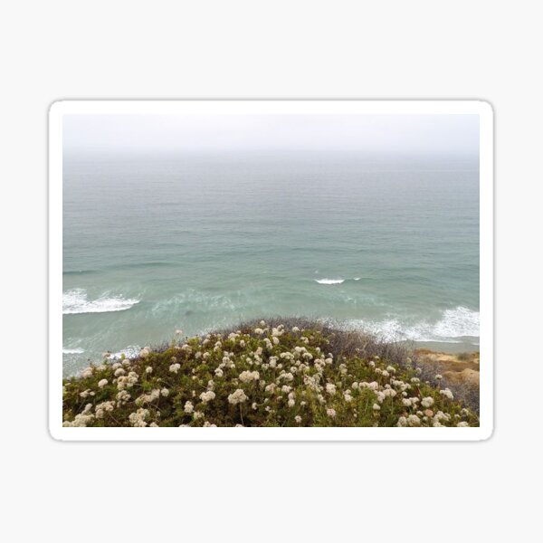 "Torrey Pines State Reserve" Sticker for Sale by BaileyC1 | Redbubble