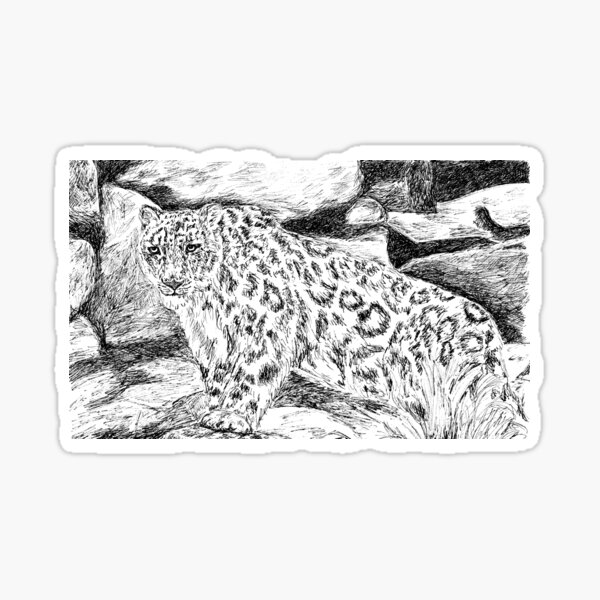 "Snow Leopard" Sticker by clgcreativearts | Redbubble