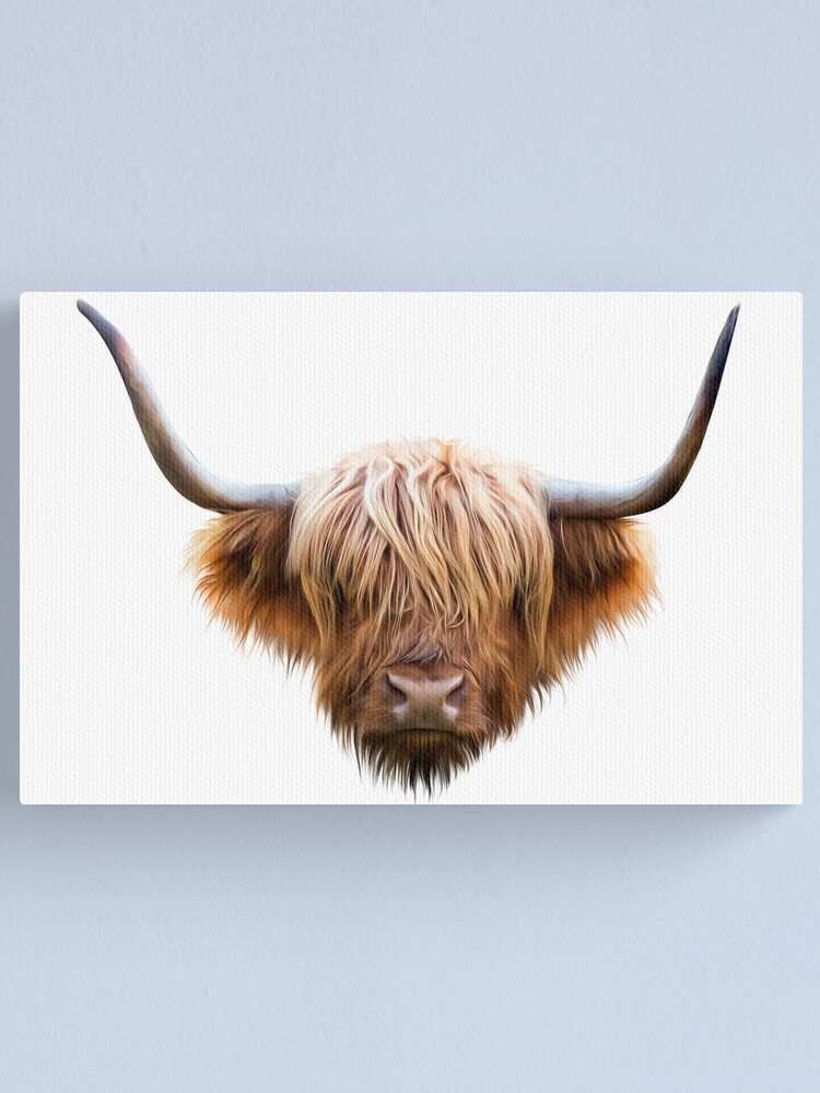 "highland cow abstract cow cattle head" Canvas Print by GeoffBeattie ...