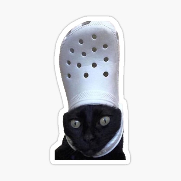 "Cat with crocs on head" Sticker for Sale by Ratcatdoggg | Redbubble