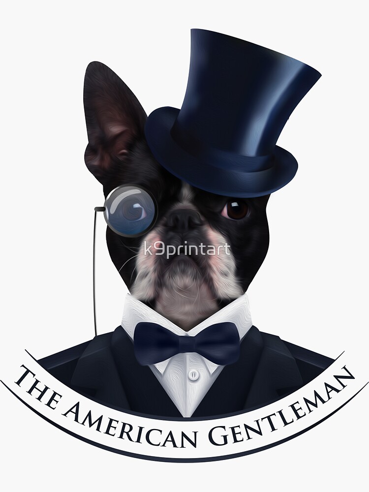 "Boston Terrier - The American Gentleman" Sticker by k9printart | Redbubble