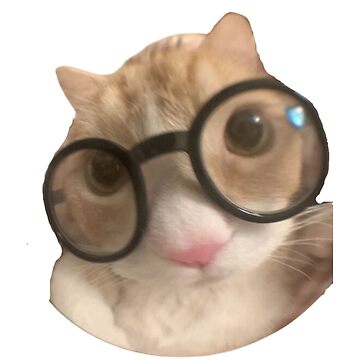 "Funny Nerd Cat" Sticker for Sale by purpleswings | Redbubble