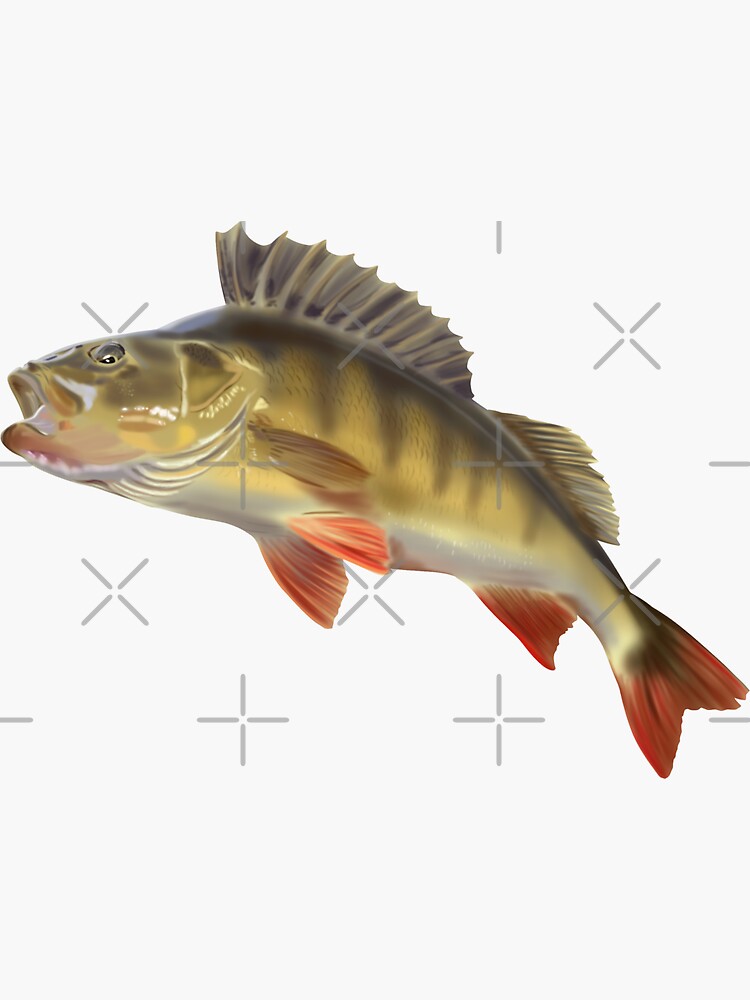 "perch" Sticker by sibosssr | Redbubble
