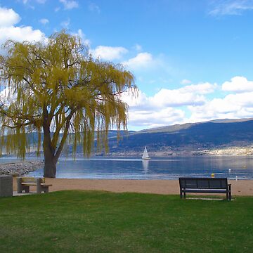 "Spring Sails" Art Print for Sale by Gregory Ewanowich | Redbubble