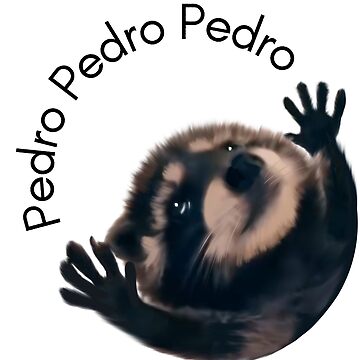 "Pedro raccoon meme viral video " Sticker for Sale by DariaMiller ...