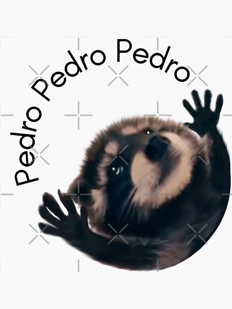 "Pedro raccoon meme viral video " Sticker for Sale by DariaMiller ...
