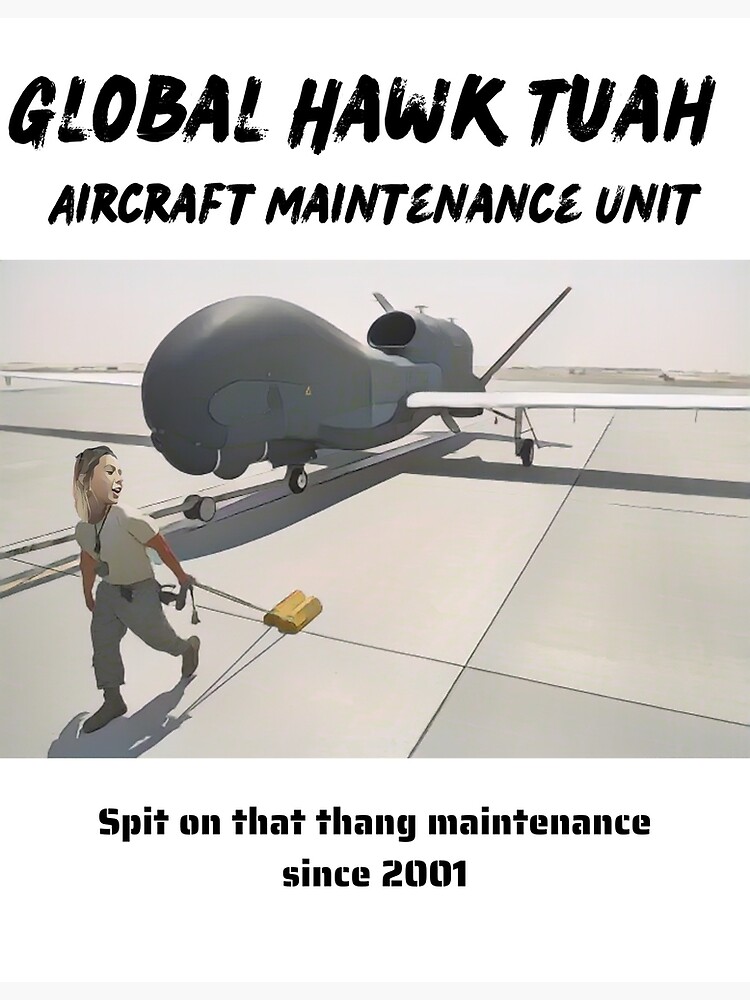 Global Hawk Memes Northrop Grumman Rq 4 Global Hawk Hi Res Stock